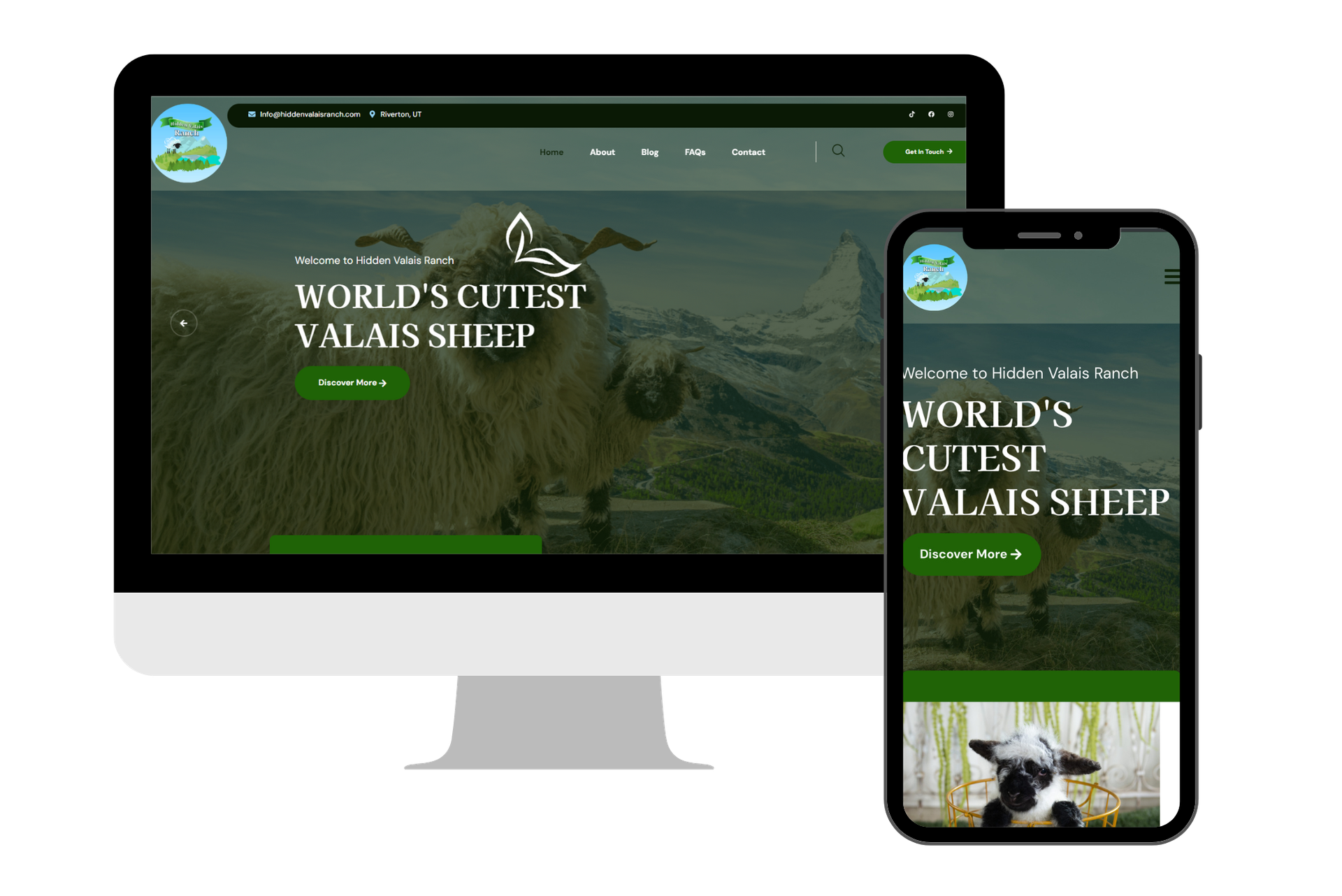 Elevate Your Impact: Utah Web Design & Marketing Pros | IMS